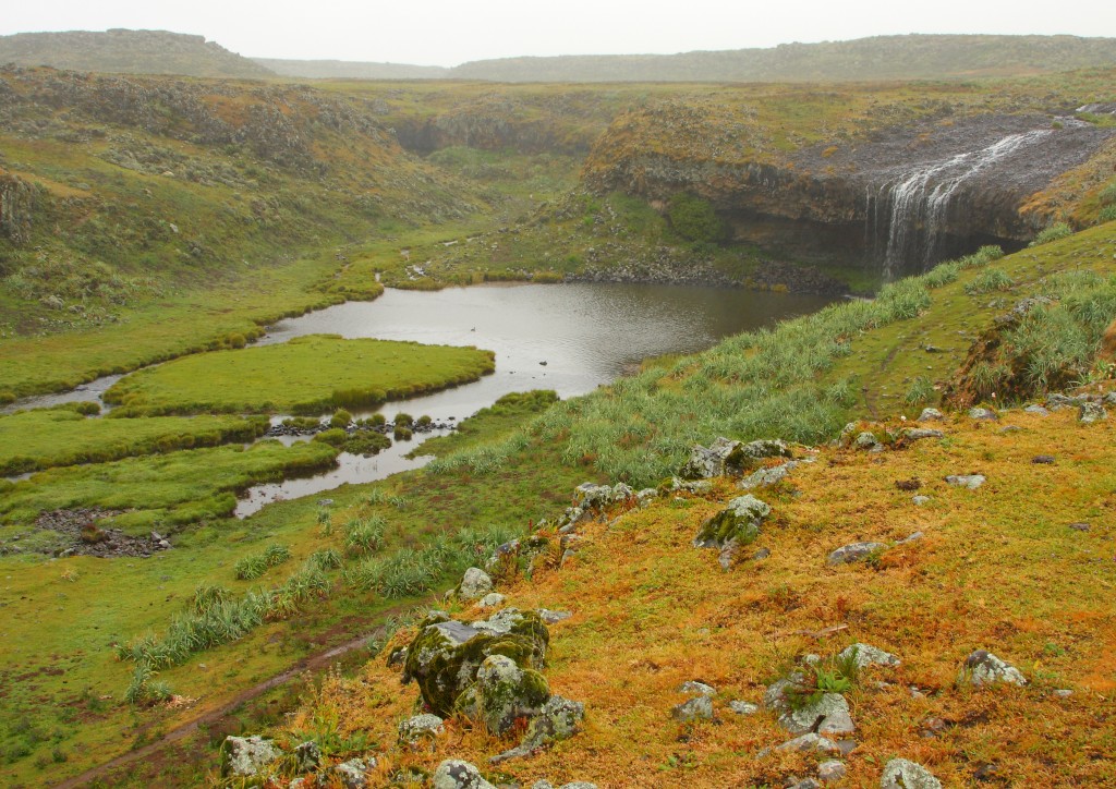 Web Valley Waterfall | Bale Mountains National Park Ethiopia